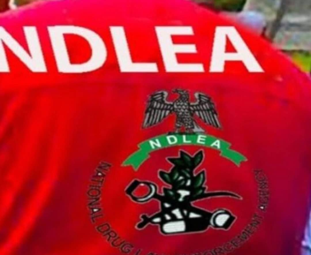 Massive Drug Haul: NDLEA Recovers N6.7bn Opioids, Busts Warehouse ...