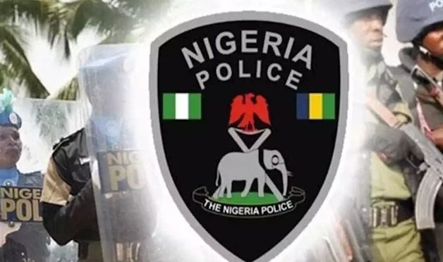 Police Arrest Two Armed Robbers In Delta - First Daily News